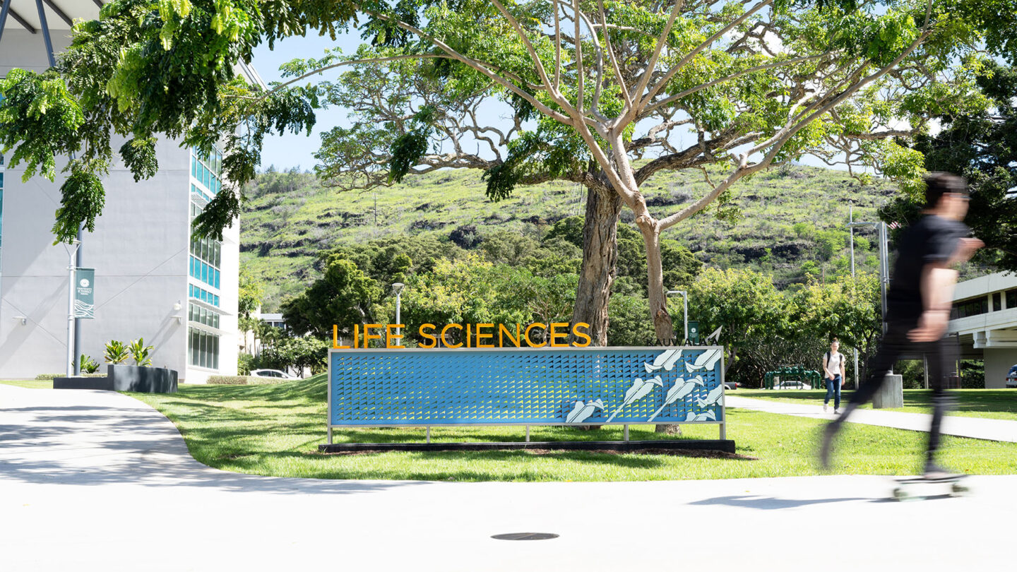 Beyond Wayfinding - SEGD - Designers of Experiences