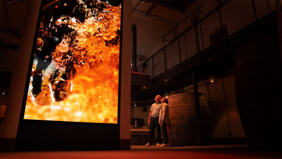 Announcing the 2024 SEGD Global Design Award Winners - SEGD - Designers of Experiences