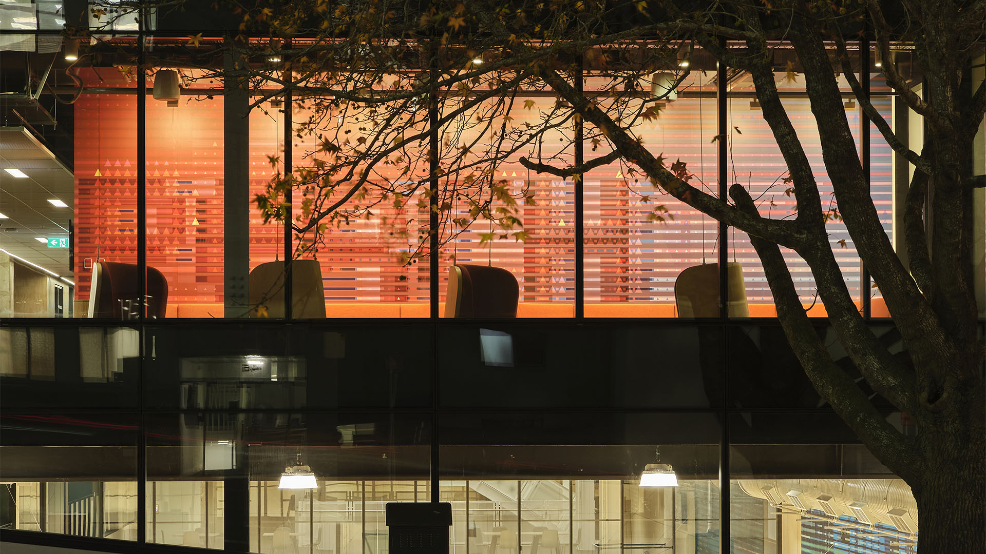 Te Āhuru Supergraphics - SEGD - Designers of Experiences