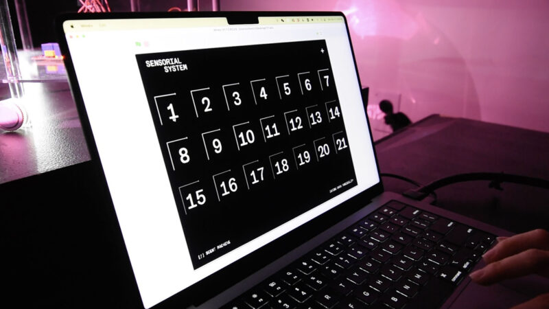 Sensorial System Decoding Intimacy Through Multi Sensory Information Design Segd Designers