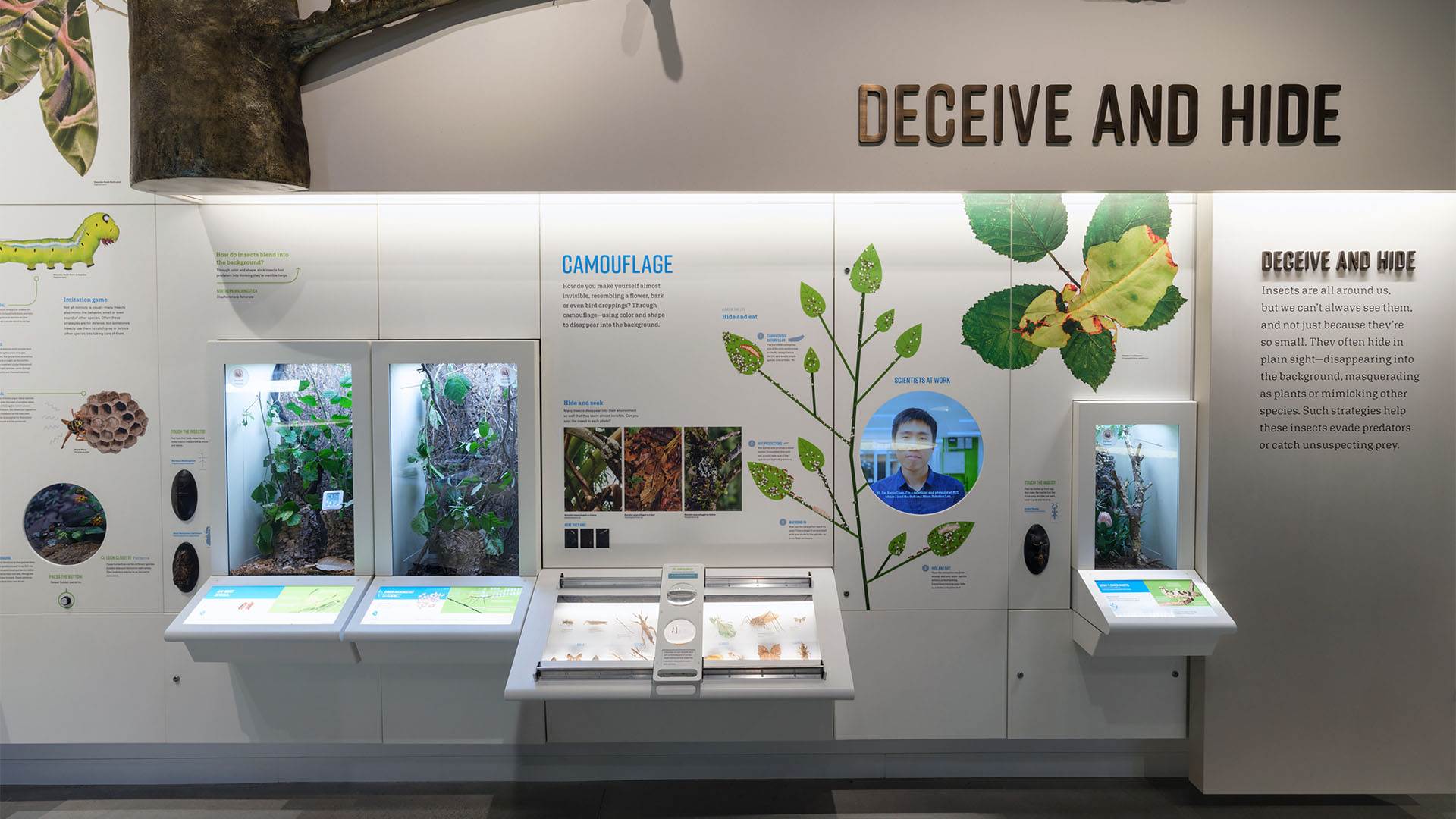 Susan and Peter J. Solomon Family Insectarium - SEGD - Designers of ...