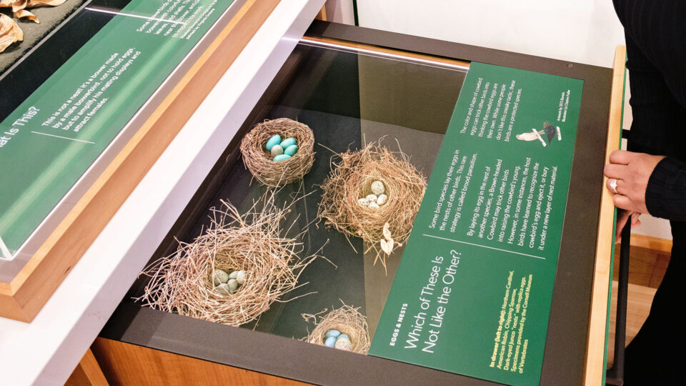 Cornell Lab of Ornithology - SEGD - Designers of Experiences