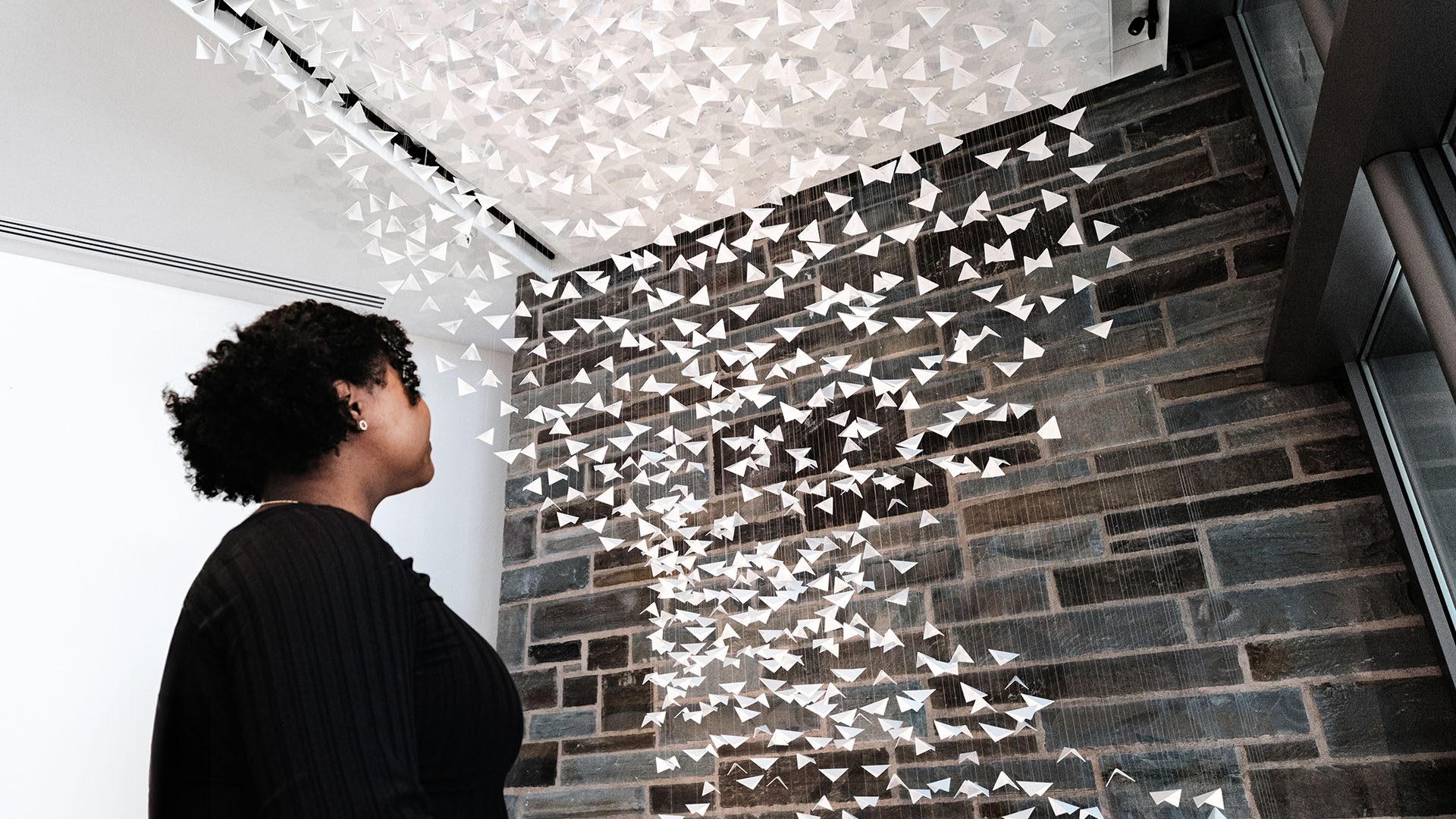 Cornell Lab of Ornithology - SEGD - Designers of Experiences