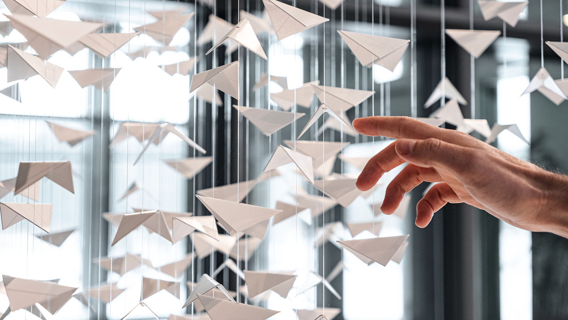 Cornell Lab of Ornithology - SEGD - Designers of Experiences